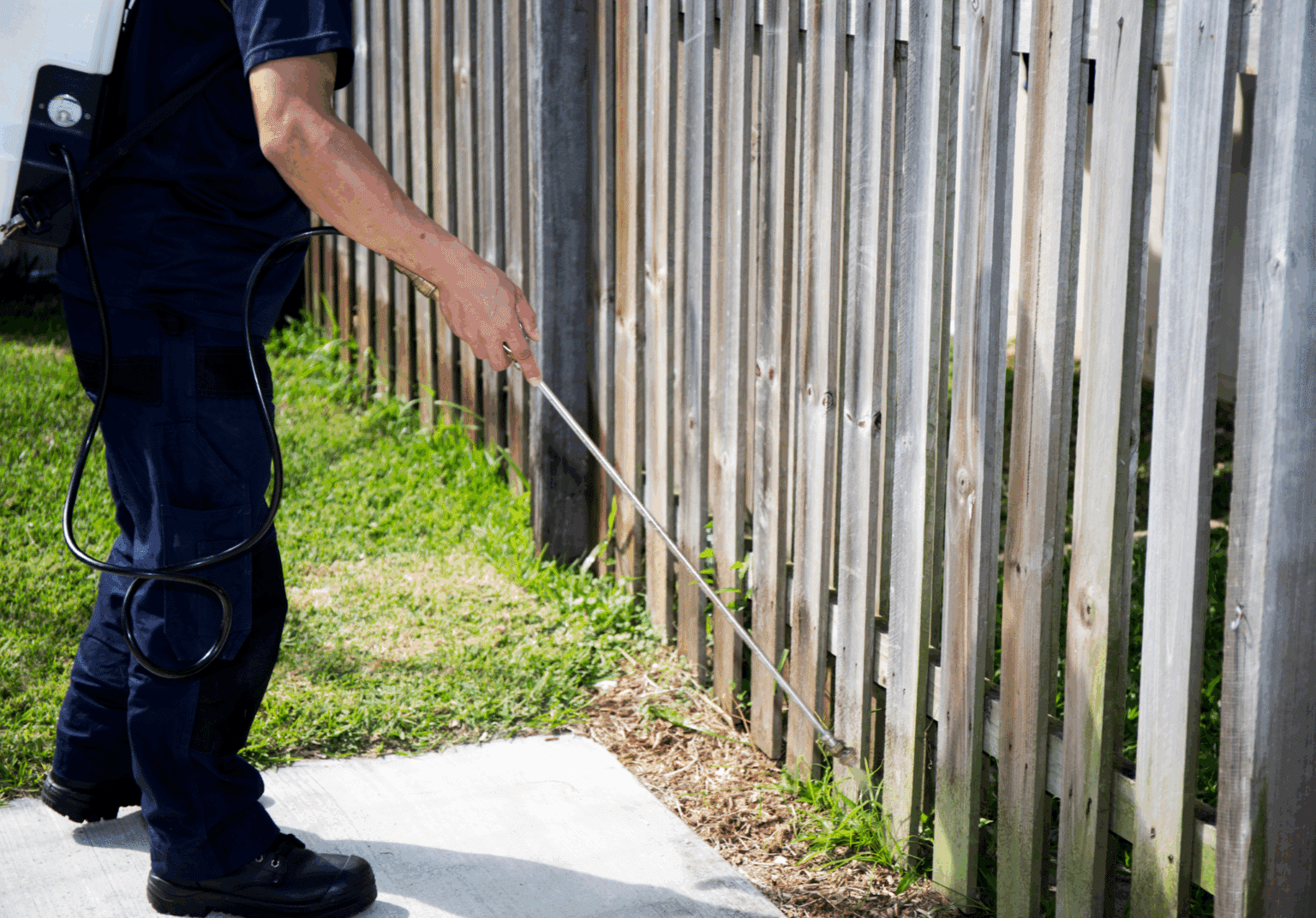 How to Choose the Best West Palm Beach Pest Control Company - Nextgen ...